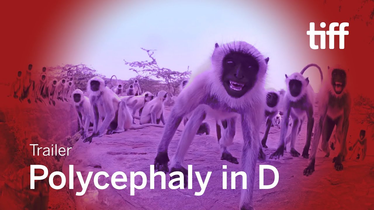 POLYCEPHALY IN D Trailer | TIFF 2021 - YouTube
