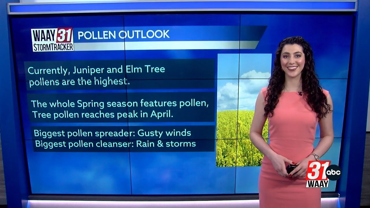 Seasonal Directory and Pollen Outlook with Morning Meteorologist Grace ...