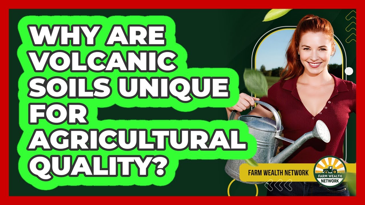 Why Are Volcanic Soils Unique For Agricultural Quality? - Farm Wealth ...