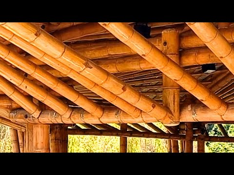 APRENDE DE ESTAS HERMOSAS ESTRUCTURAS DE BAMBÚ - YouTube