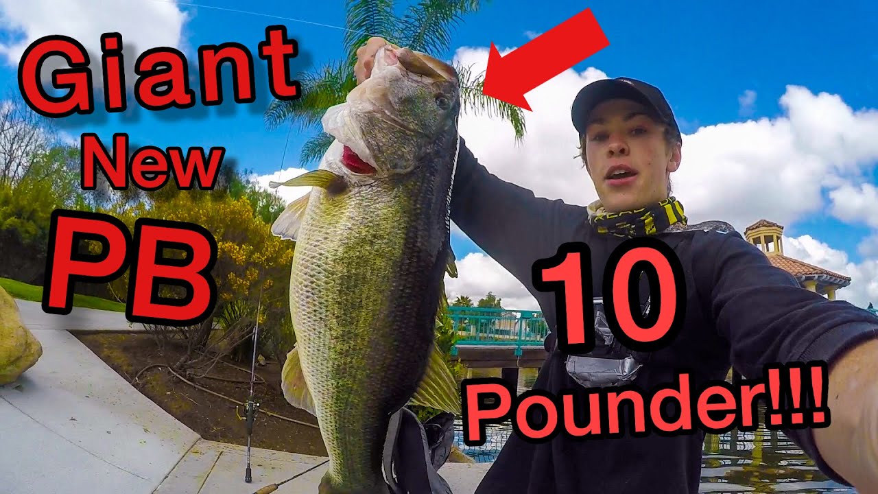 NEW PB!!!10 pound bass! Craziest day of my life bass and crappie ...