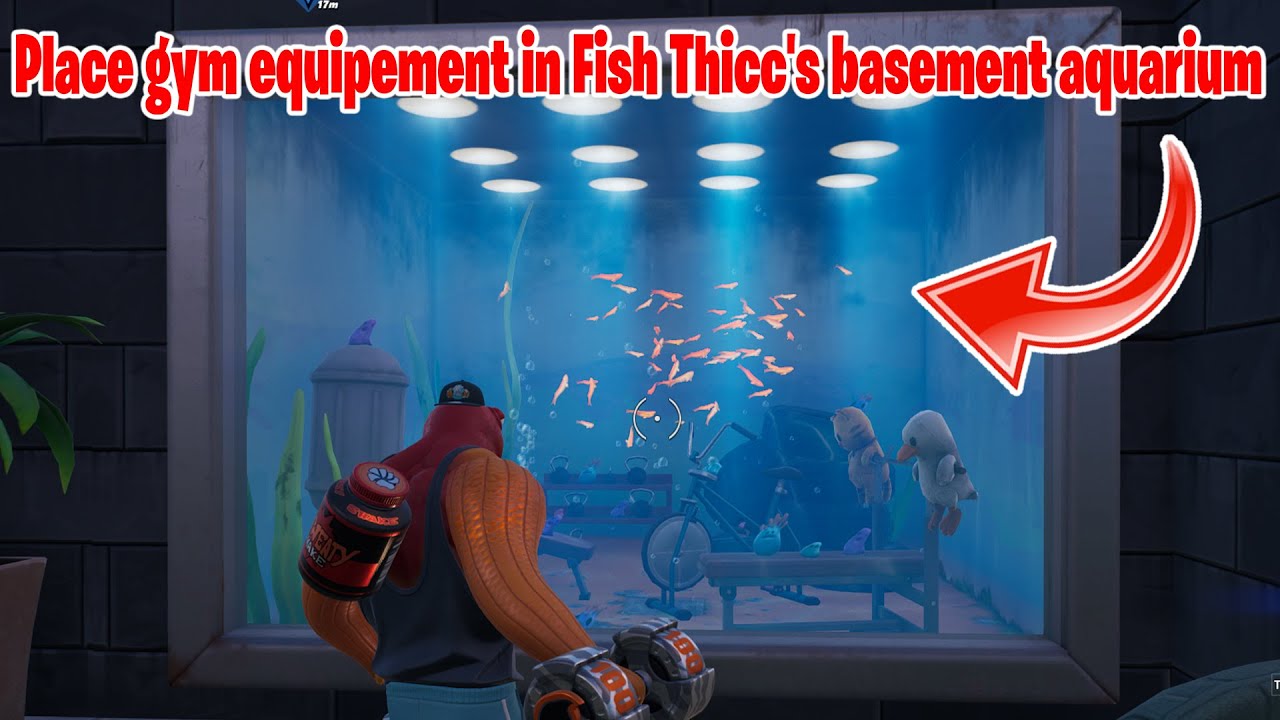 How to *EASILY* Place gym equipement in Fish Thicc's basement aquarium ...