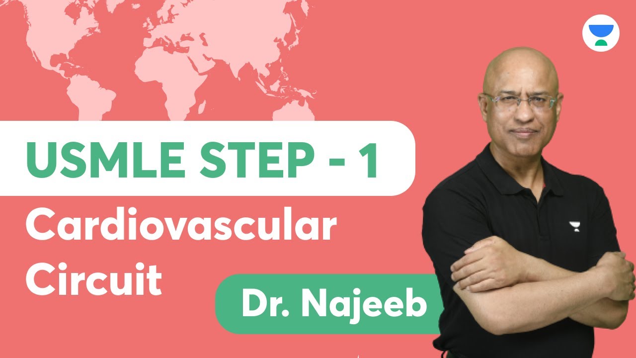 Cardiovascular Circuit Part 1 by Dr Najeeb | USMLE - YouTube