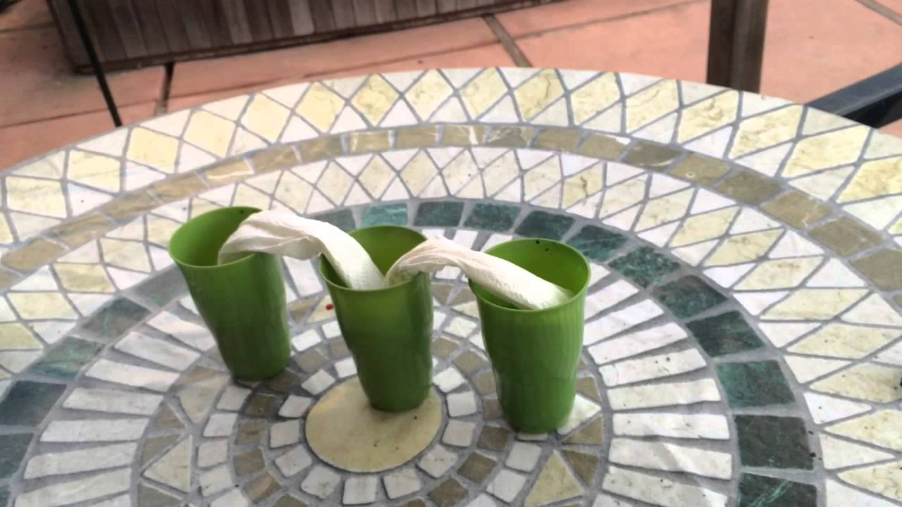 Water Transfer Science Experiment - YouTube