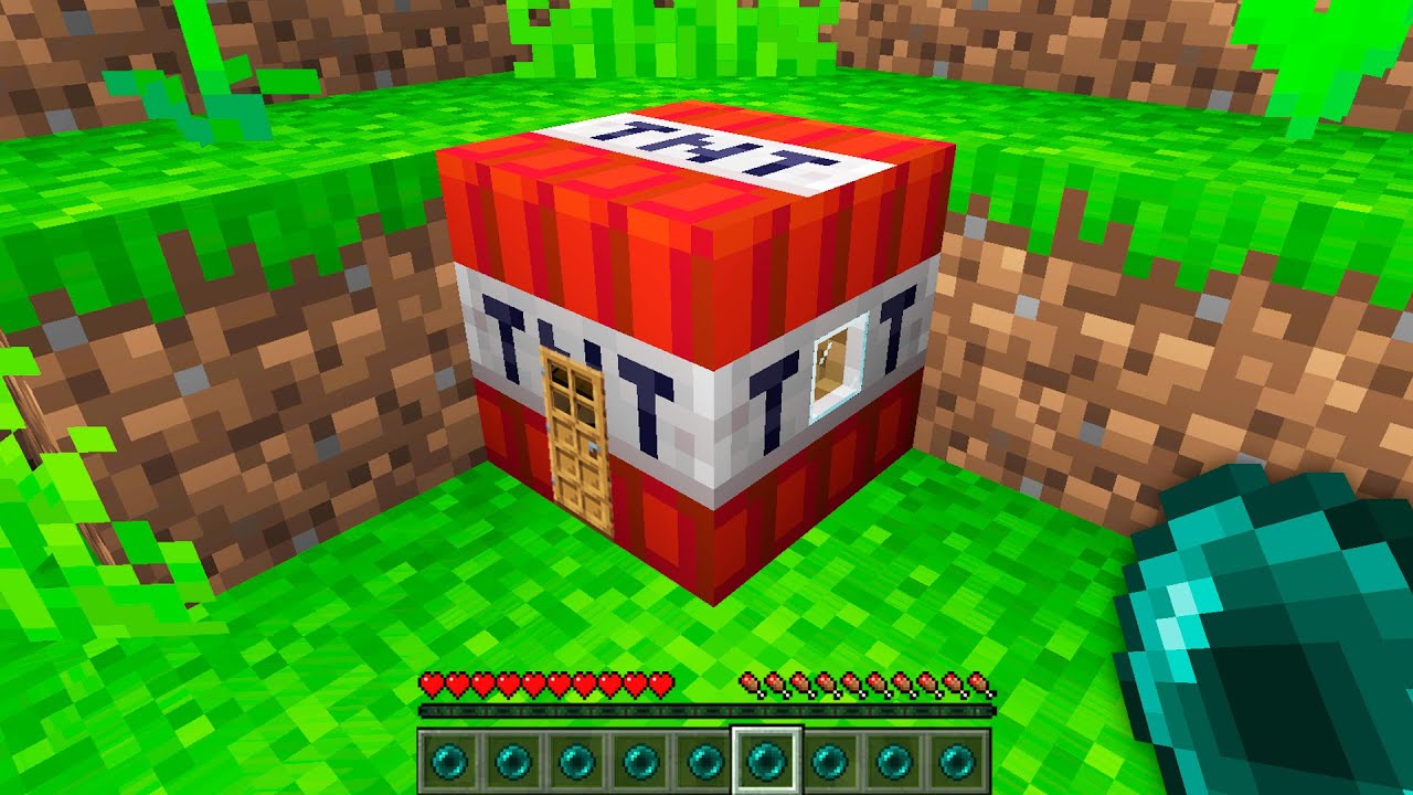 I found a TINY TNT HOUSE in Minecraft ! What's INSIDE the TNT BLOCK ...