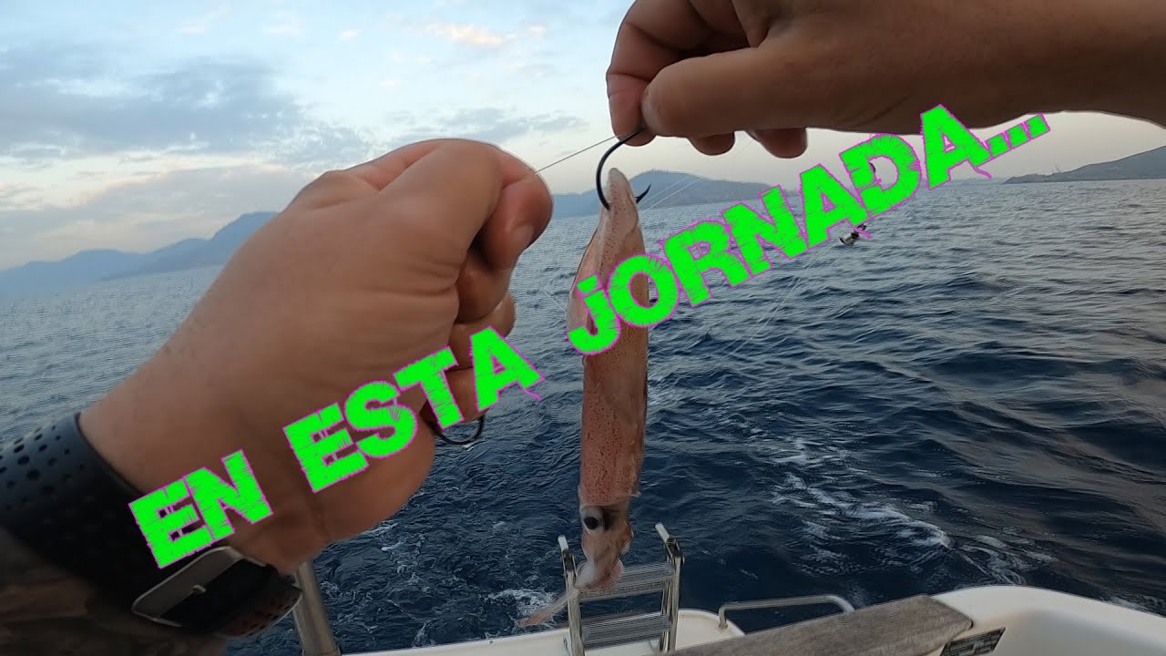 Pesca a Fondo, dos picadas increibles. - YouTube