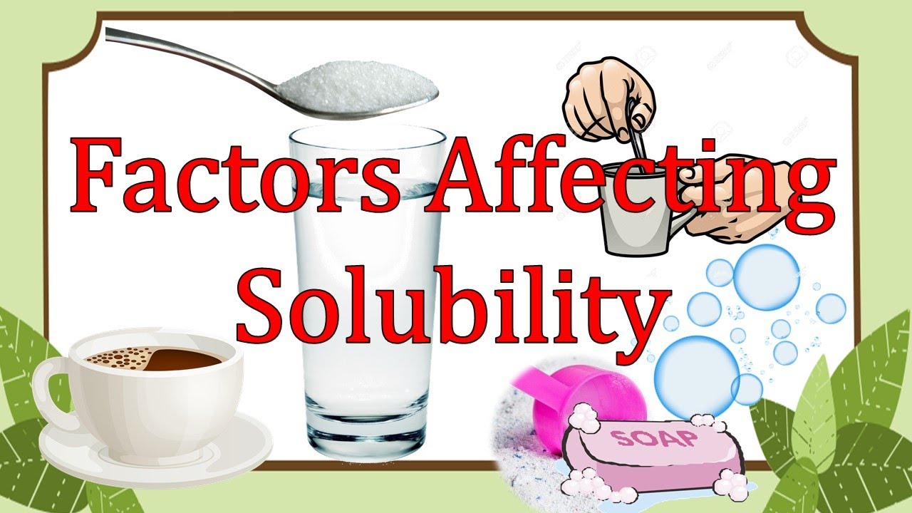 Factors Affecting Solubility - YouTube