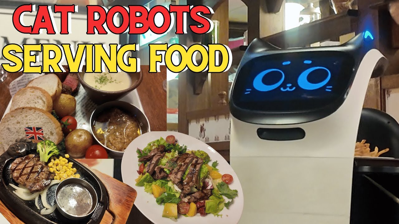 Restaurant with cat robots serving food | family restaurant | Beef ...
