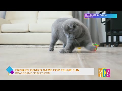 Celebrating Feline Fun with the Purr-fect Game | Sponsored - YouTube