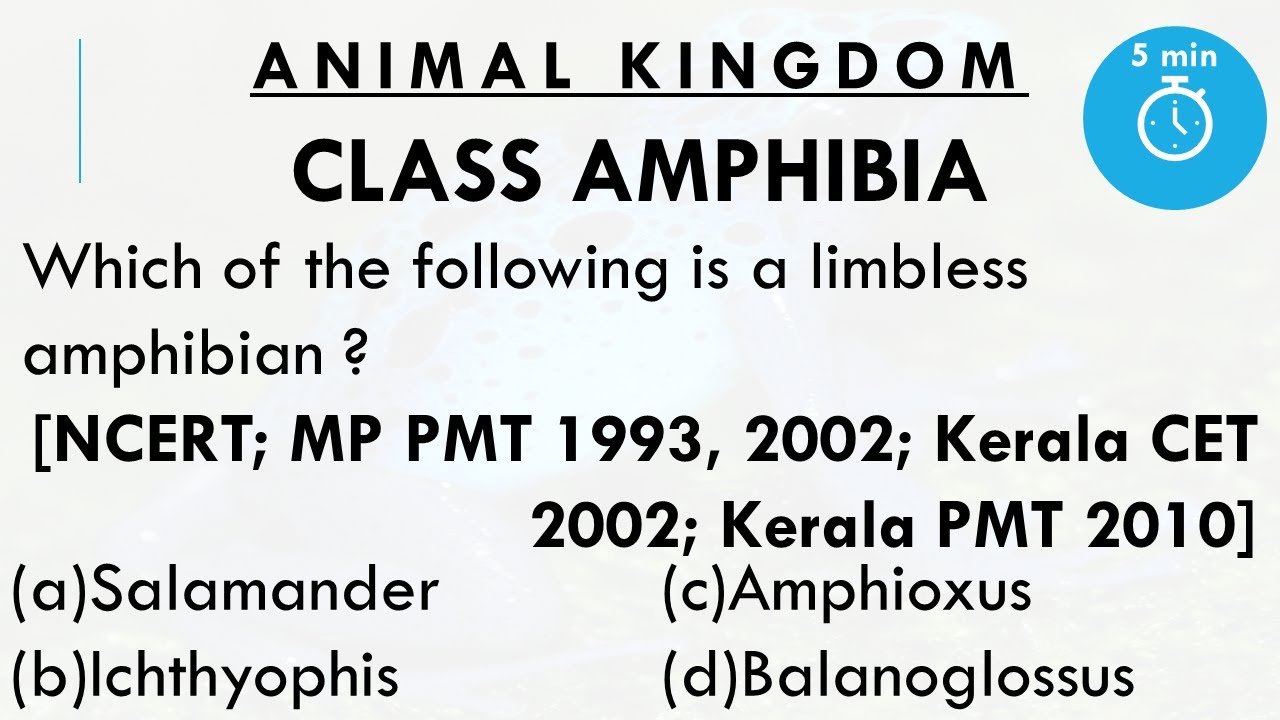 Animal Kingdom MCQs (Class 11) - Class Amphibia || NEET || STUDE - YouTube