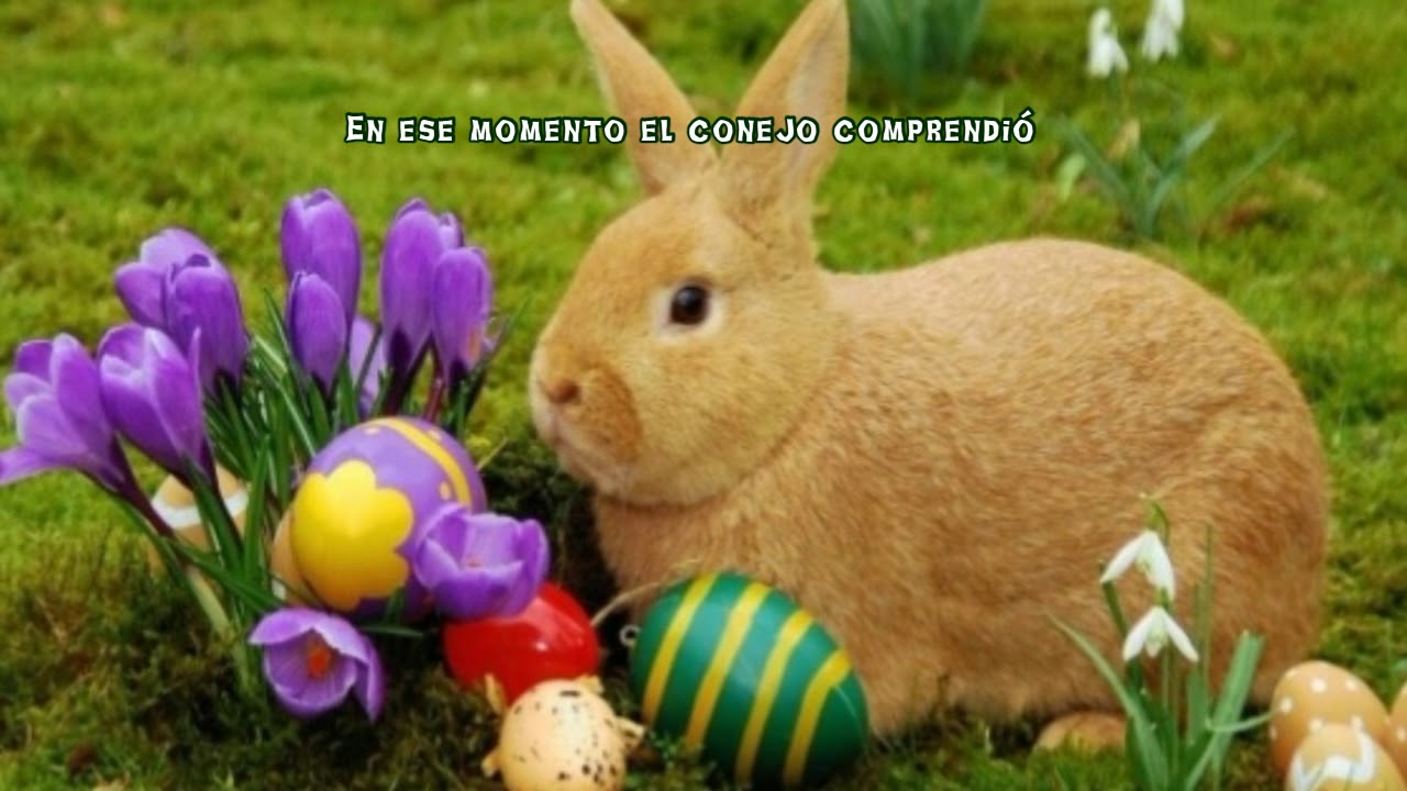 EL CONEJO DE PASCUA, Leyenda de semana santa - YouTube