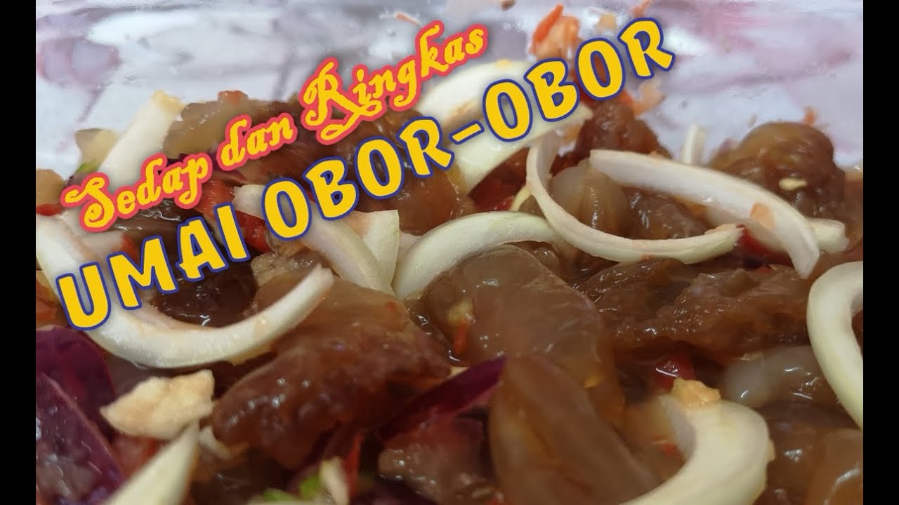 Umai obor-obor (jelly fish) - YouTube