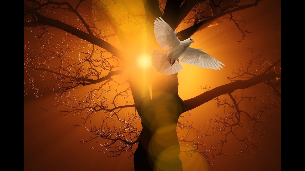 Meditation - Taize: Veni Sancte Spiritus - YouTube