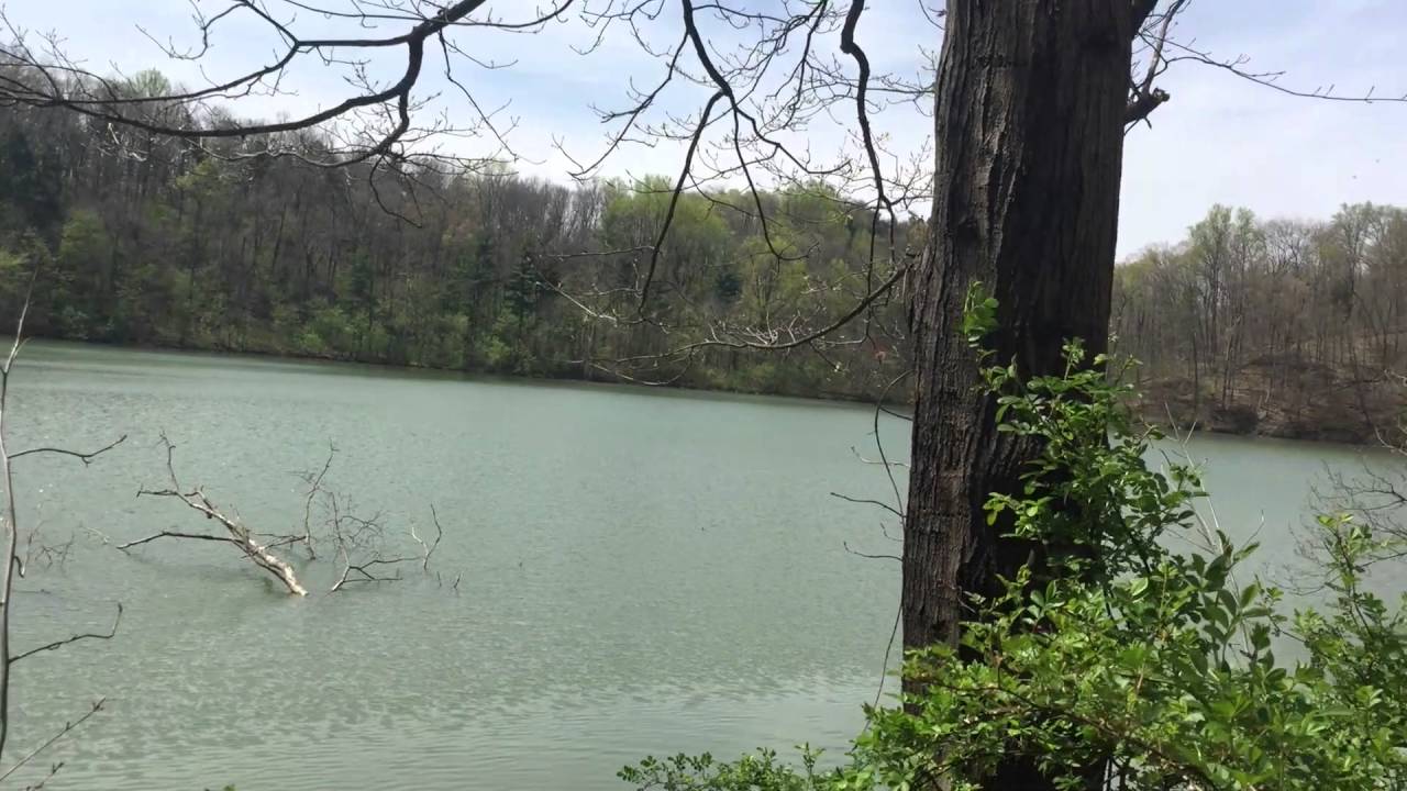 Blue Marsh Lake Recreation Area Hiking - Great Truck and RV Parking ...