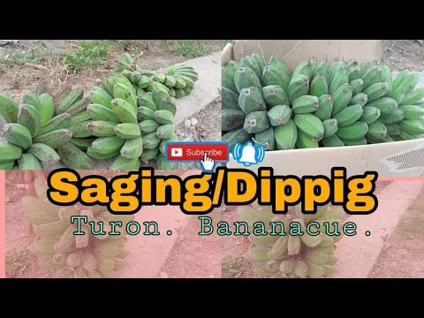 dippig na saging/maraming puwedeng gawin sa saging na eto - YouTube