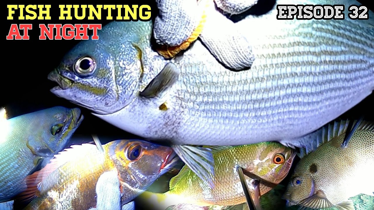 NIGHT SPEARFISHING EPISODE 32 | FISH HUNTING AT NIGHT - YouTube