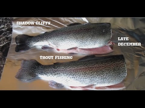 Shadow Cliffs Trout Fishing December 23rd 2015 - YouTube