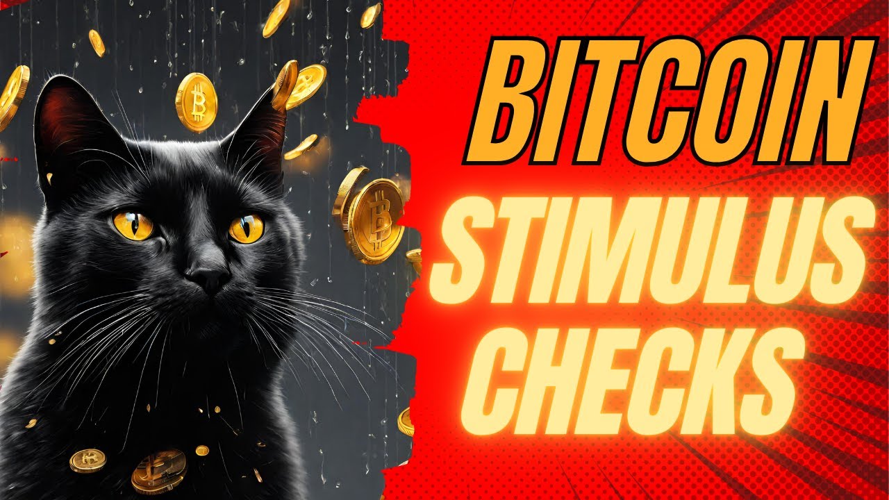 What Are Government Stimulus Checks Worth Now in Bitcoin? - YouTube