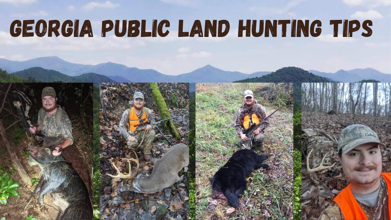 Georgia Public Land Mountain Buck Hunting Tips For Success - YouTube