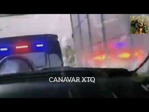 Xüsusi Teyinatli Qüvveler Telim