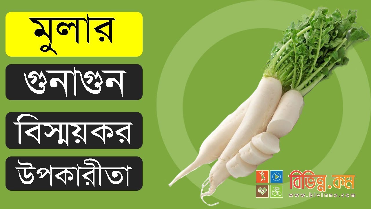 Bangla Health Tips: মুলার গুনাগুন ও উপকারিতা - স্বাস্থ্য তথ্য - হেলথ ...