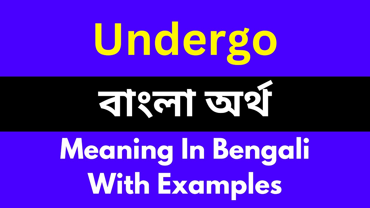 Undergo Meaning In Bengali Undergo undergo-meaning-in-bengali-undergo