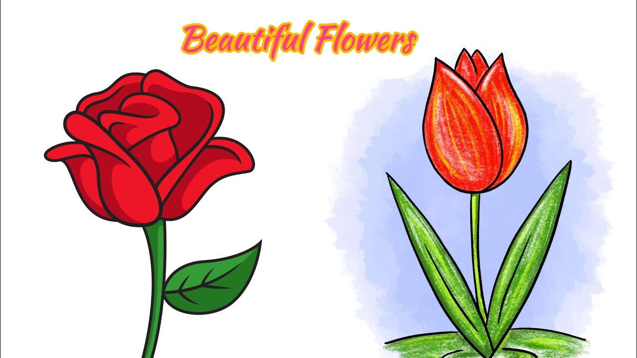 How to Draw Beautiful Flowers step by step tutorial for Beginners (very ...
