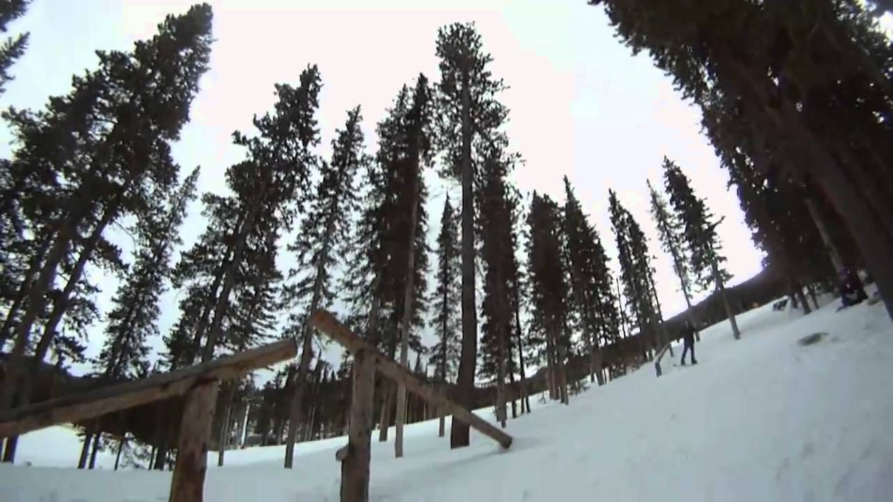Couple shots in Echo's Asylum tree park - YouTube