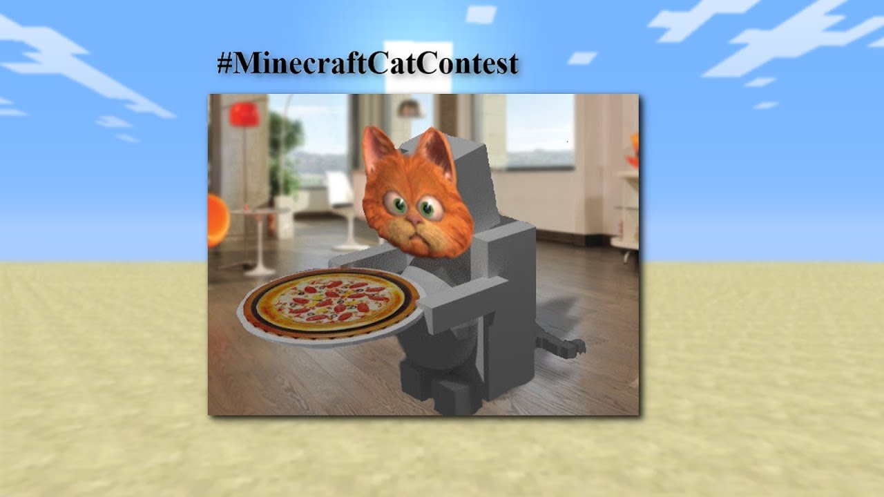 Minecraft Cat Contest 2018 - YouTube