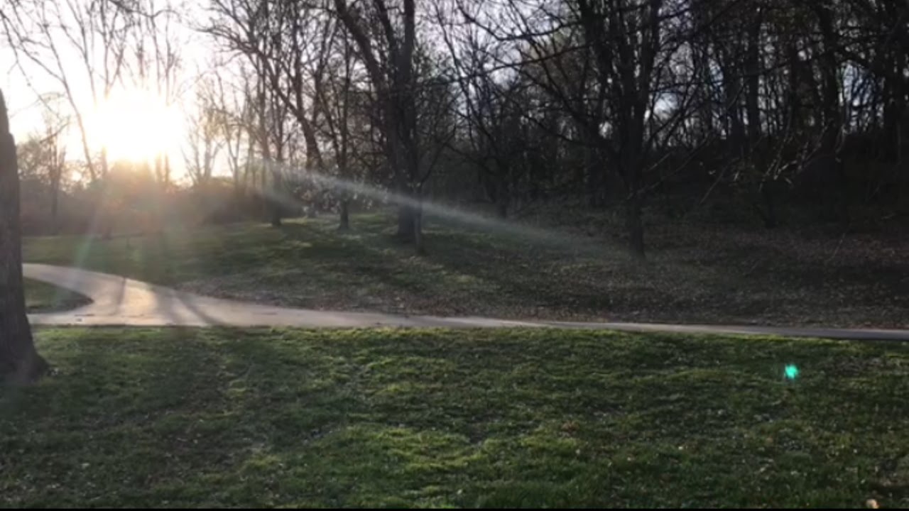 Nature walk (nice spring evening) - YouTube