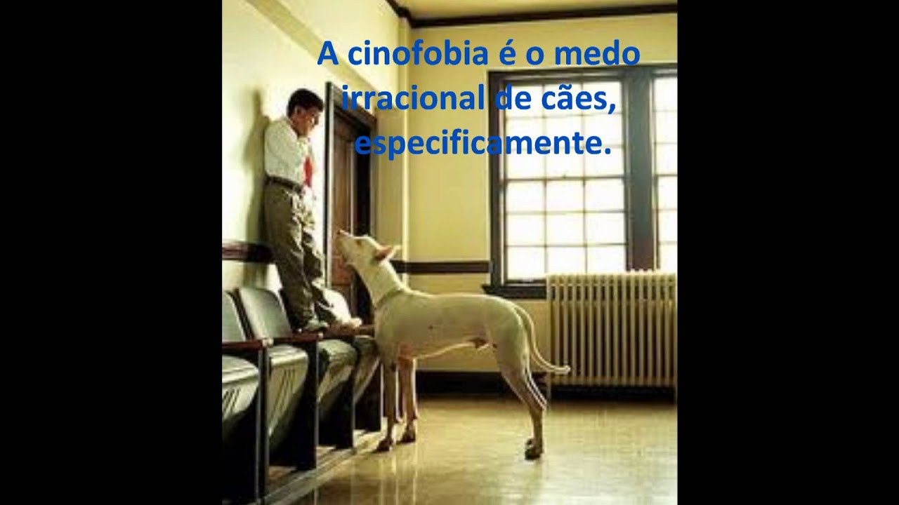 Cinofobia : Medo de cães, cachorros - YouTube