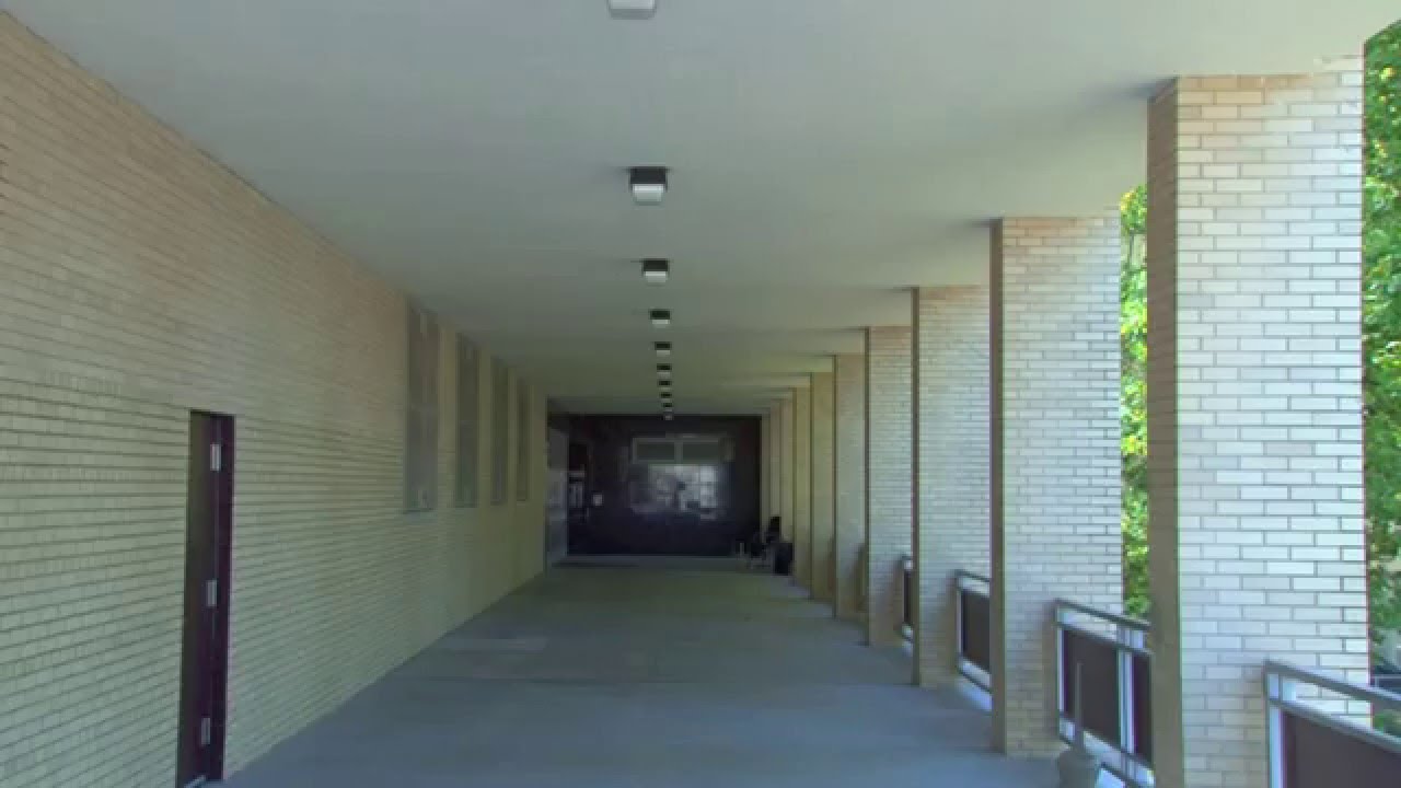 M.S. 67 Louis Pasteur - YouTube