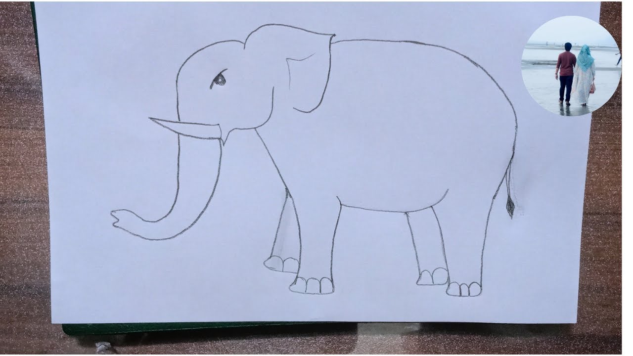 How to draw elephant // hati drawing step by step for beginners | Art ...