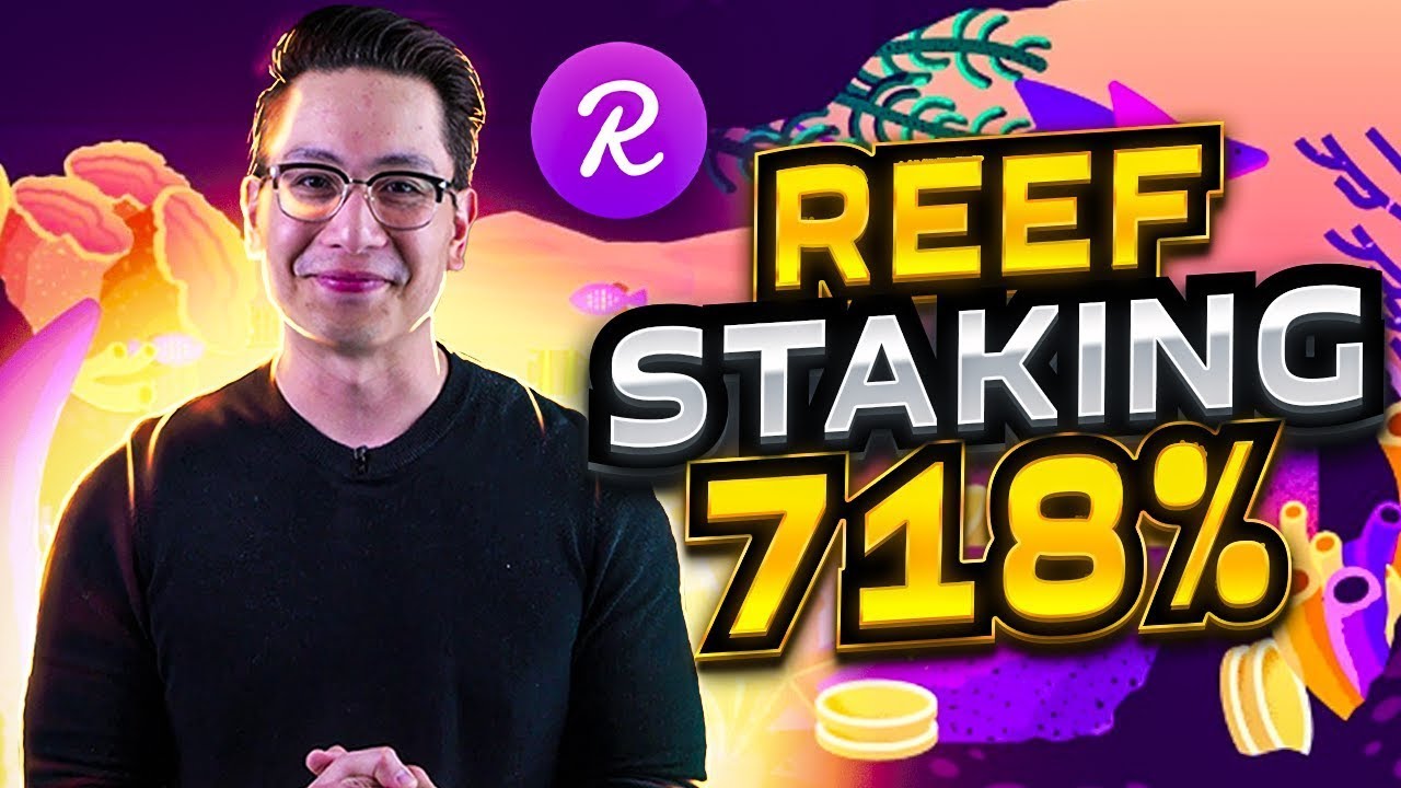 This is the most profitable REEF token STAKING ever 🚀 stake reef coin ...