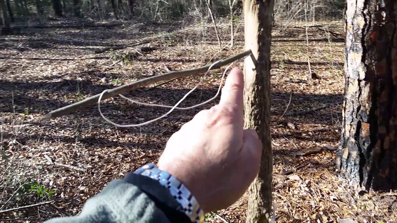 Ojibwa Bird Snare - YouTube