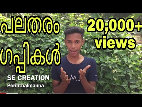 Different type of guppy part 2  in Malayalam (HD)
