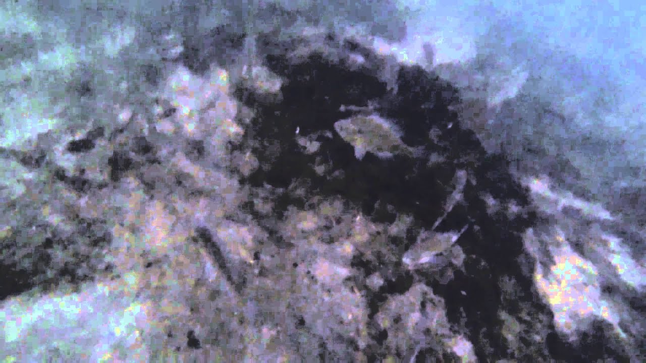 12/17/14 Fox Chain Pee Wee Peelin - YouTube