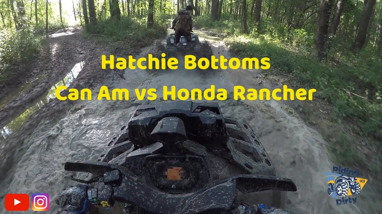 Hatchie Bottoms with JP Stephens and new friends. - YouTube
