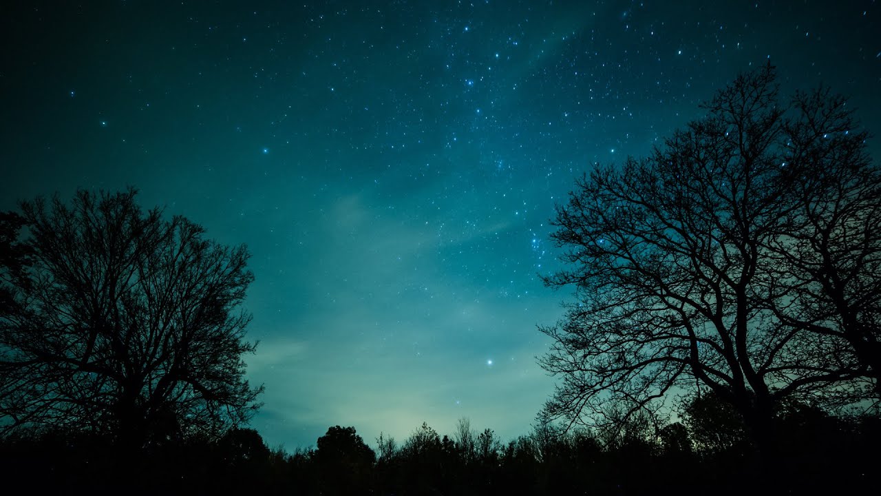 Forest At Night Sounds 10 HOURS : Crickets, Owls Sounds, Relaxing Trees ...