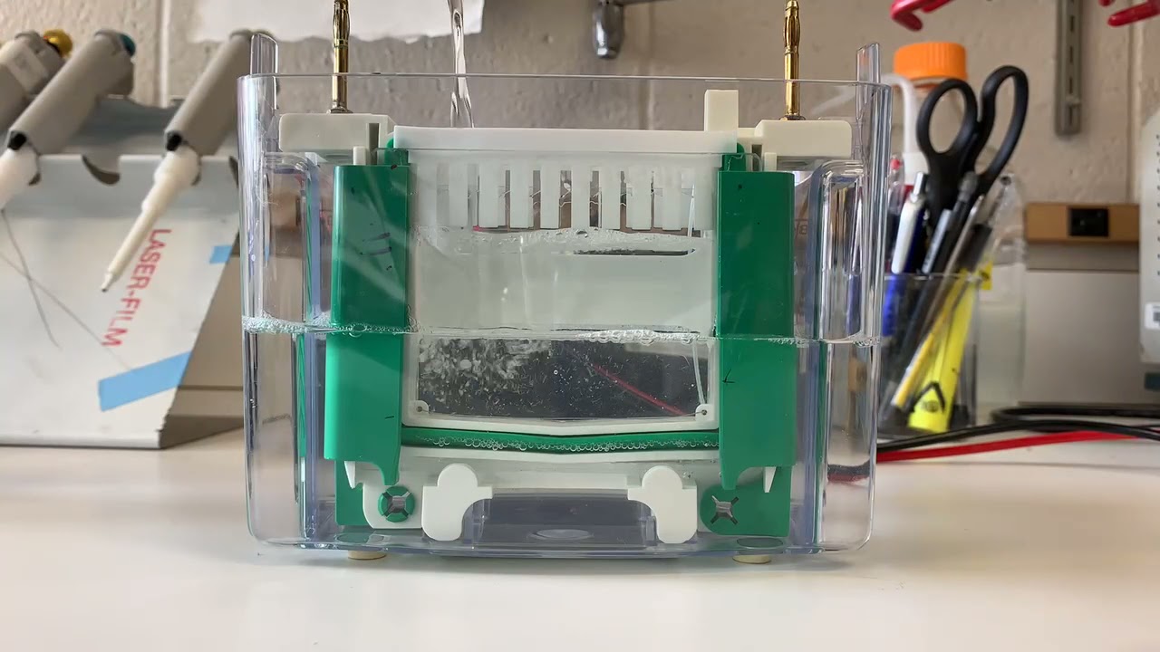 Preparation of the SDS Gel Tank - YouTube