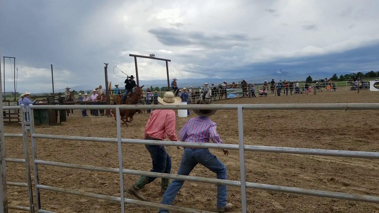 Some of the Ribbon Roping - Jake Clark Mule Days Rodeo 2019 - YouTube