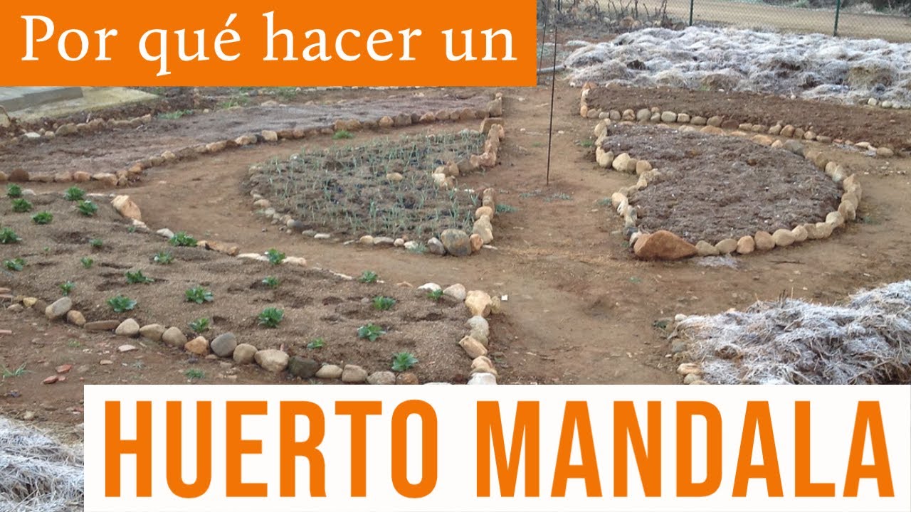 Plano De Huerto Mandala Diy_deas (@diy_deas) 5 Años De Cambios