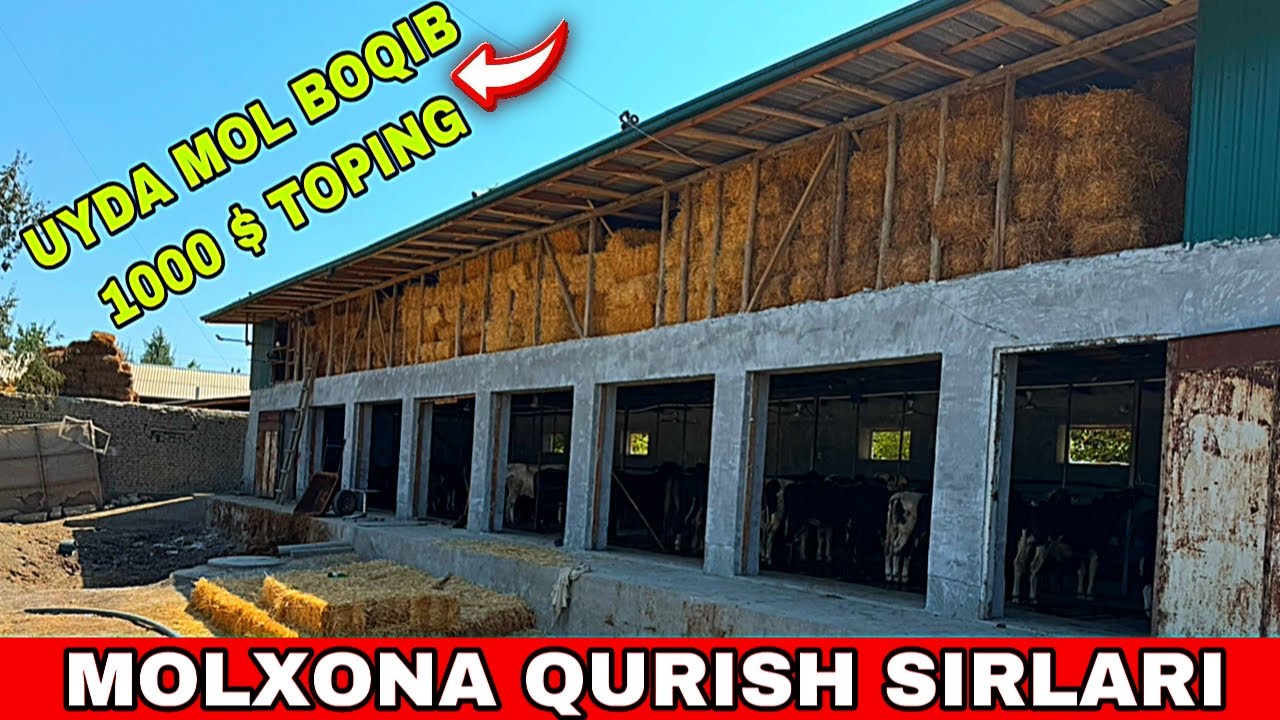 MOLXONA QURISH SIRLARI AL TEMUR DRABILKASI N1👍 - YouTube