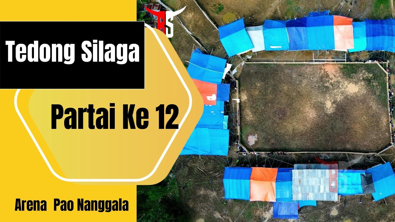 Partai Ke 12 - YouTube
