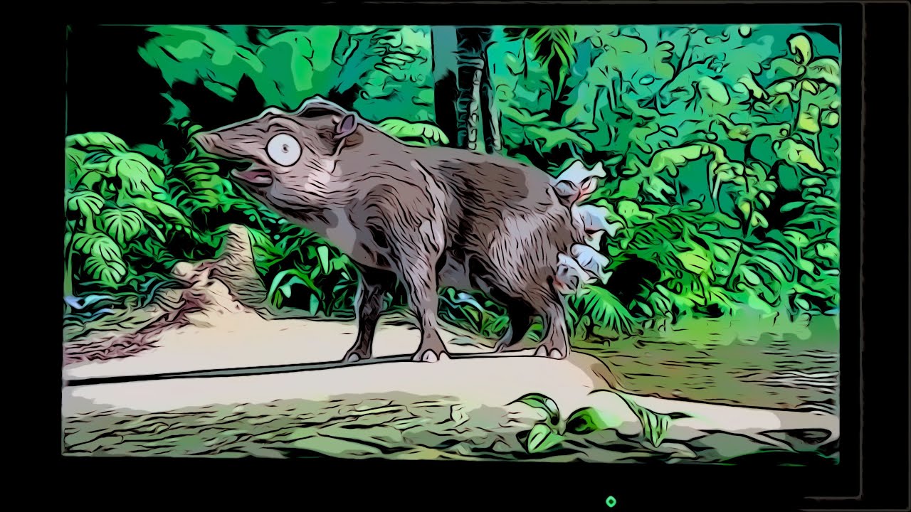 Rio 2: Tapir (iPhone) (Comic Filters) - YouTube
