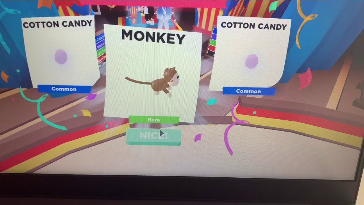New monkey pets in adopt me - YouTube