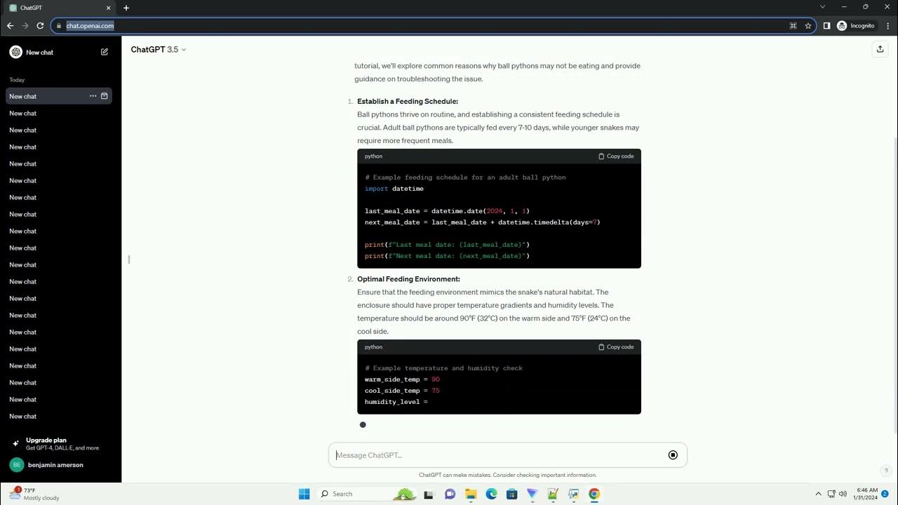 ball python won t eat - YouTube