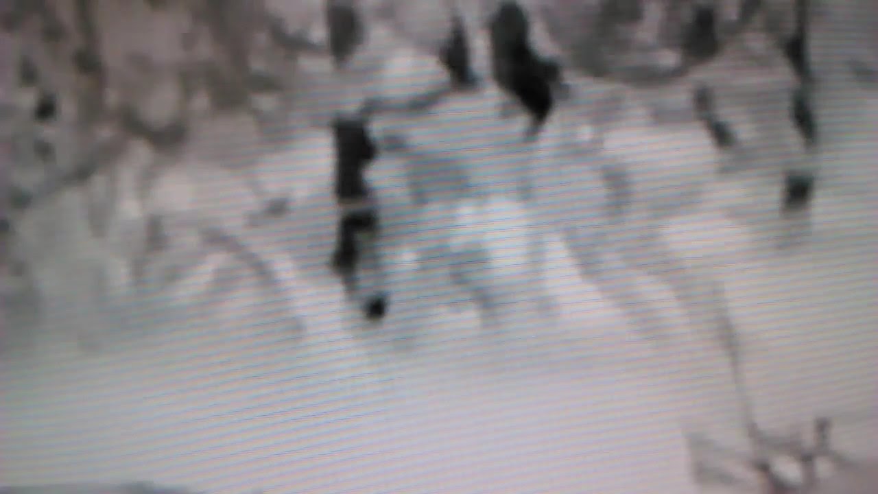 MENK FOOTAGE, RUSSIA. BIGFOOT VIDEO, FACT/FAKE ? You decide. (7) - YouTube