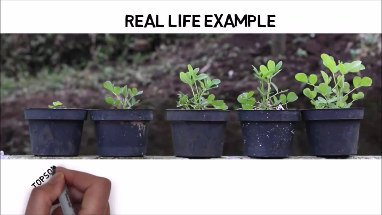 perfect soil - YouTube