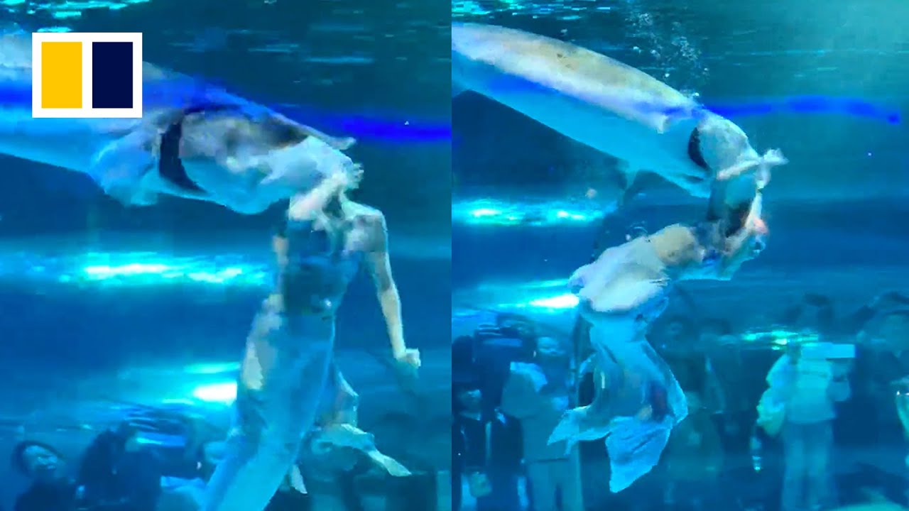 Fish attacks ‘mermaid’ at aquarium in China - YouTube